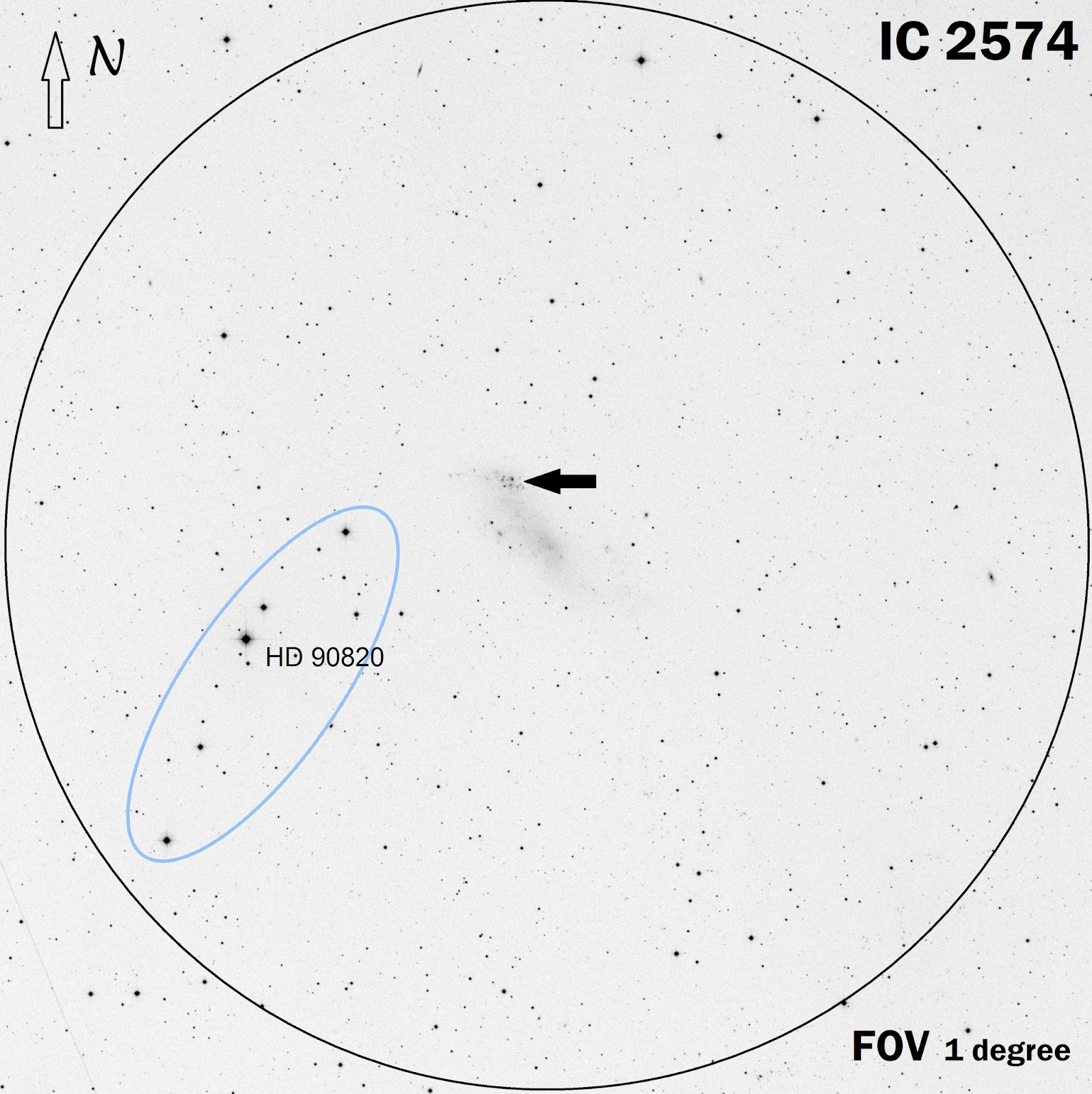 Deep Sky Observing Articles & Reports: The Coddington`s Nebula