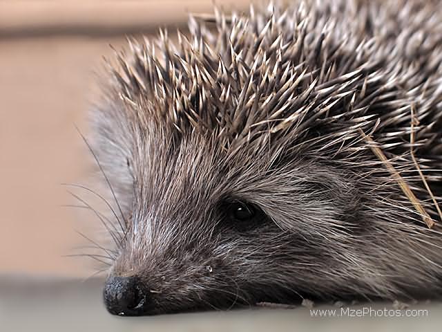 [Image] Don't cry, dont cry, dont cry, dont cry, dont cry - Random ...