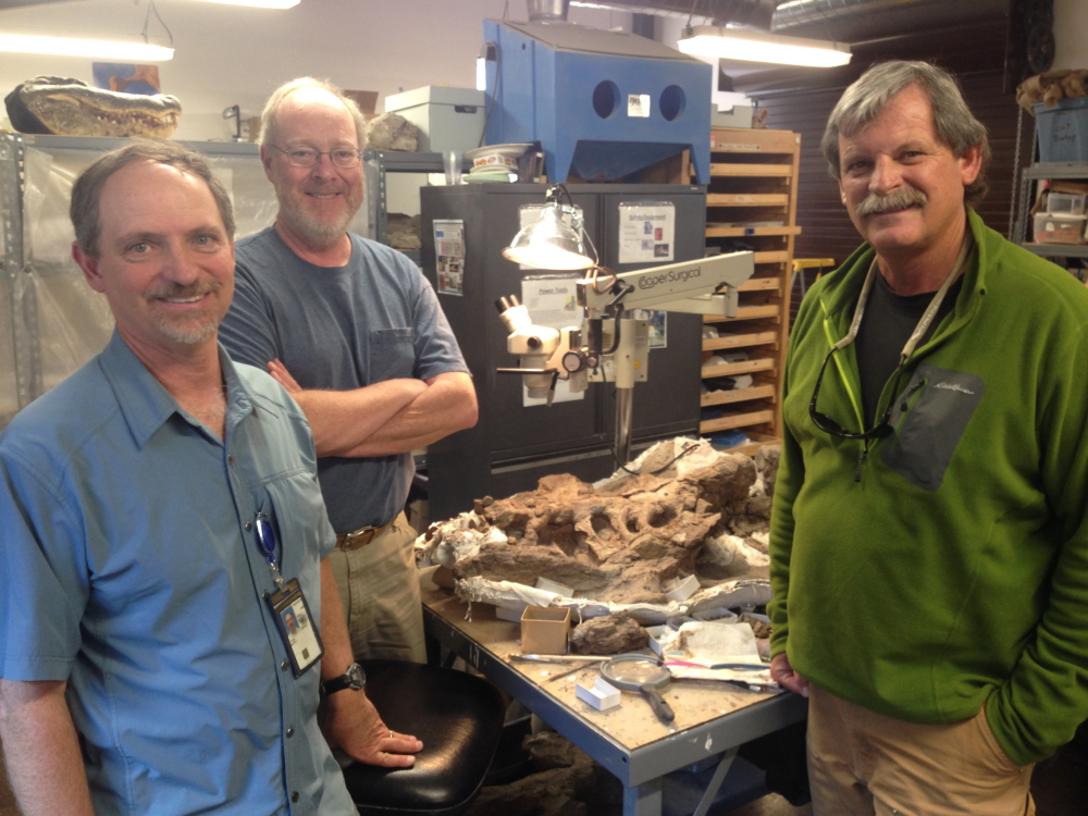 Earthly Musings - My Travel and Geology Blog: Museum of Northern ...