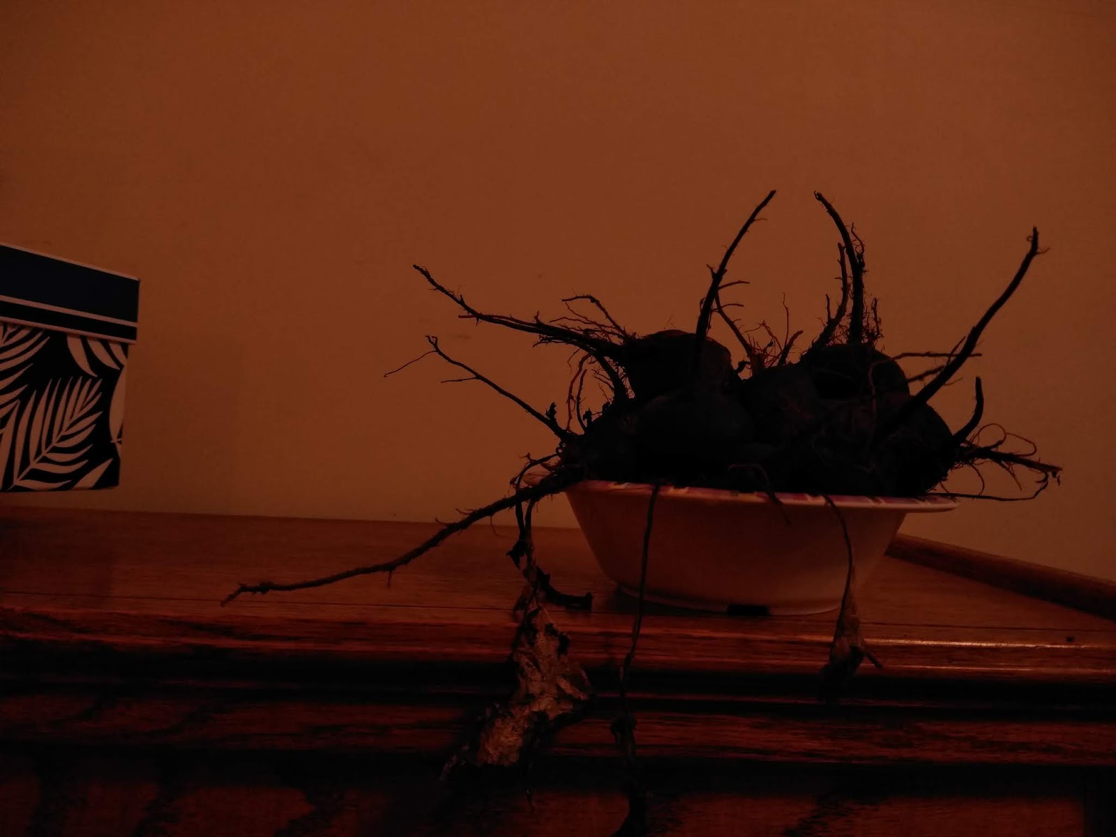 My Dad's Name is Harold: Straight Outta Lovecraft: BEET'THULU ...