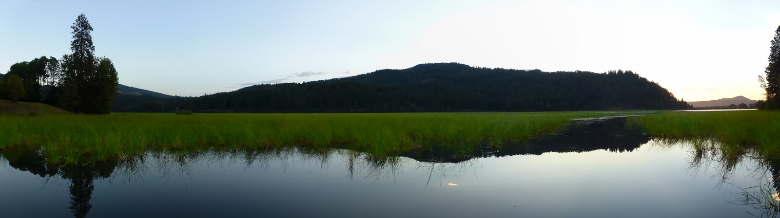 Wild Harvests: Wild Rice- Cascadian Style