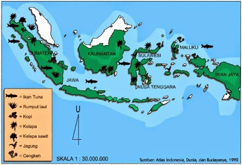 all about geographic: PERSEBARAN FLORA DAN FAUNA DI INDONESIA