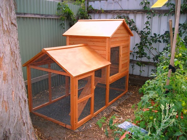 Chicken House Plans: How To Build A Chicken House