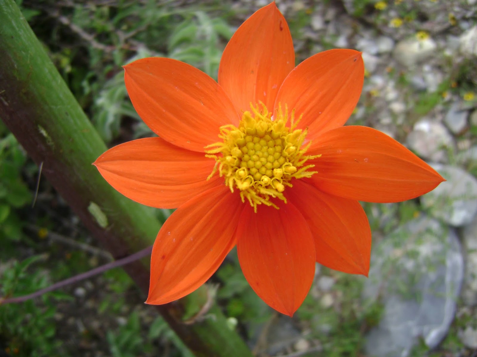 EL REVERDECIDO CERRO COLORADO | EXCURSIONES DIVERSAS