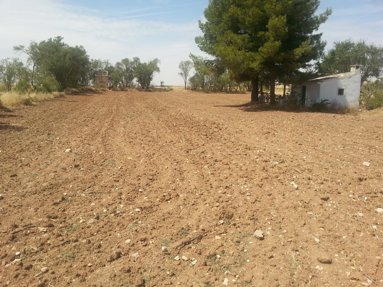 Ciencias Sociales: Tipo de parcelas