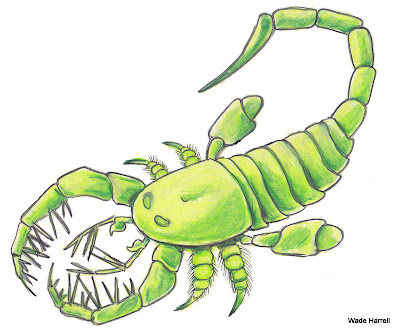Life Before the Dinosaurs: Mixopterus.