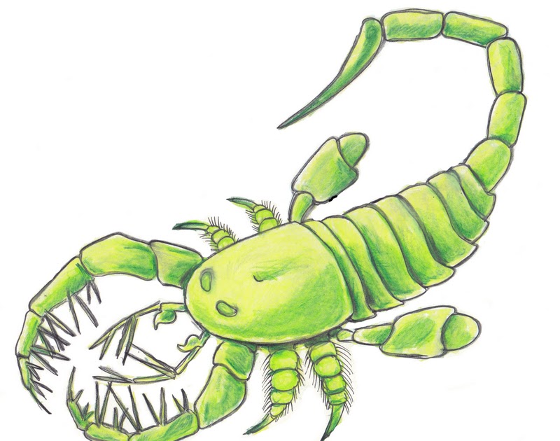 Life Before the Dinosaurs: Mixopterus.