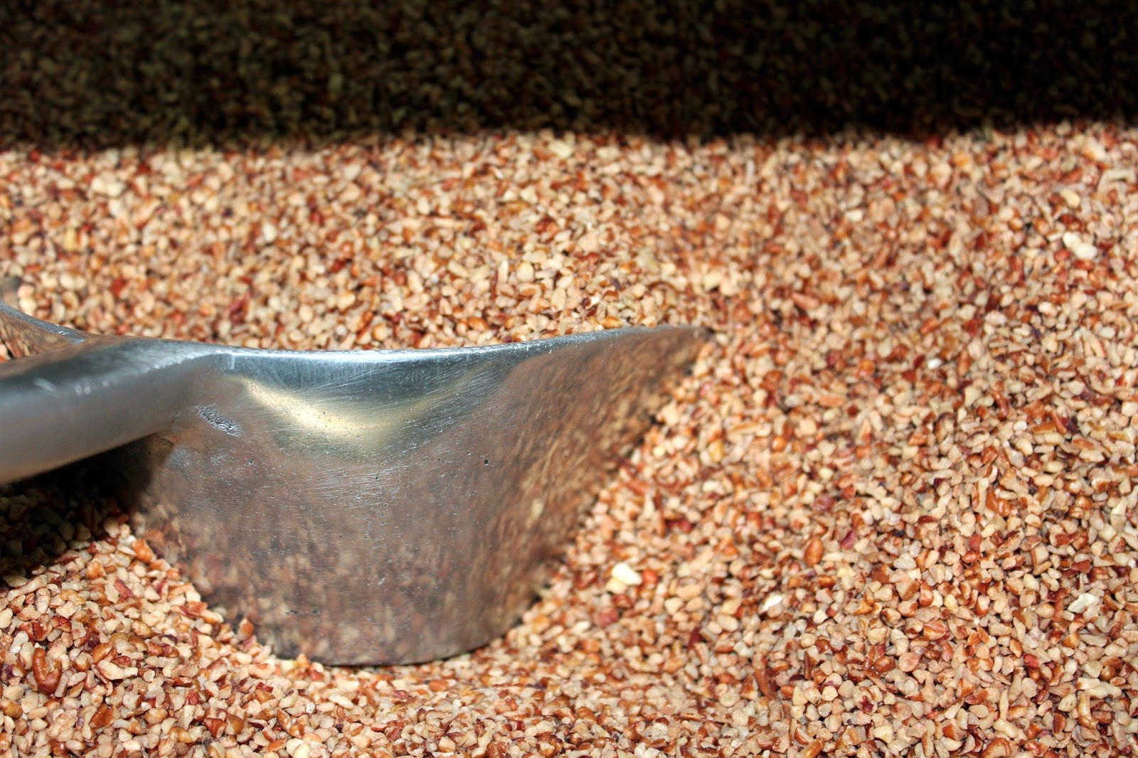 Nueces Comsa: Productos