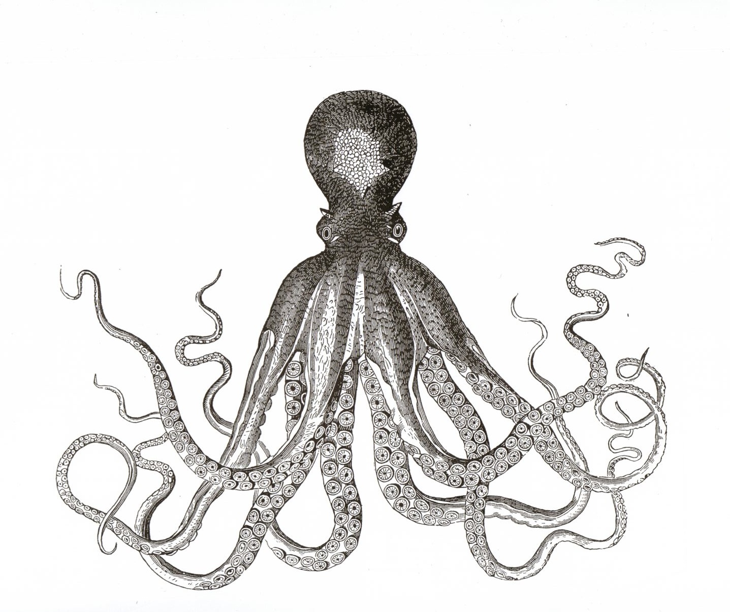 Mark Montano: NEVER BORED WITH CARDBOARD..............