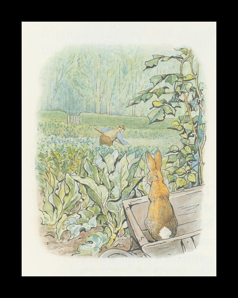 Painting of Beatrix Potter artist, Beatrix Potter paintings
