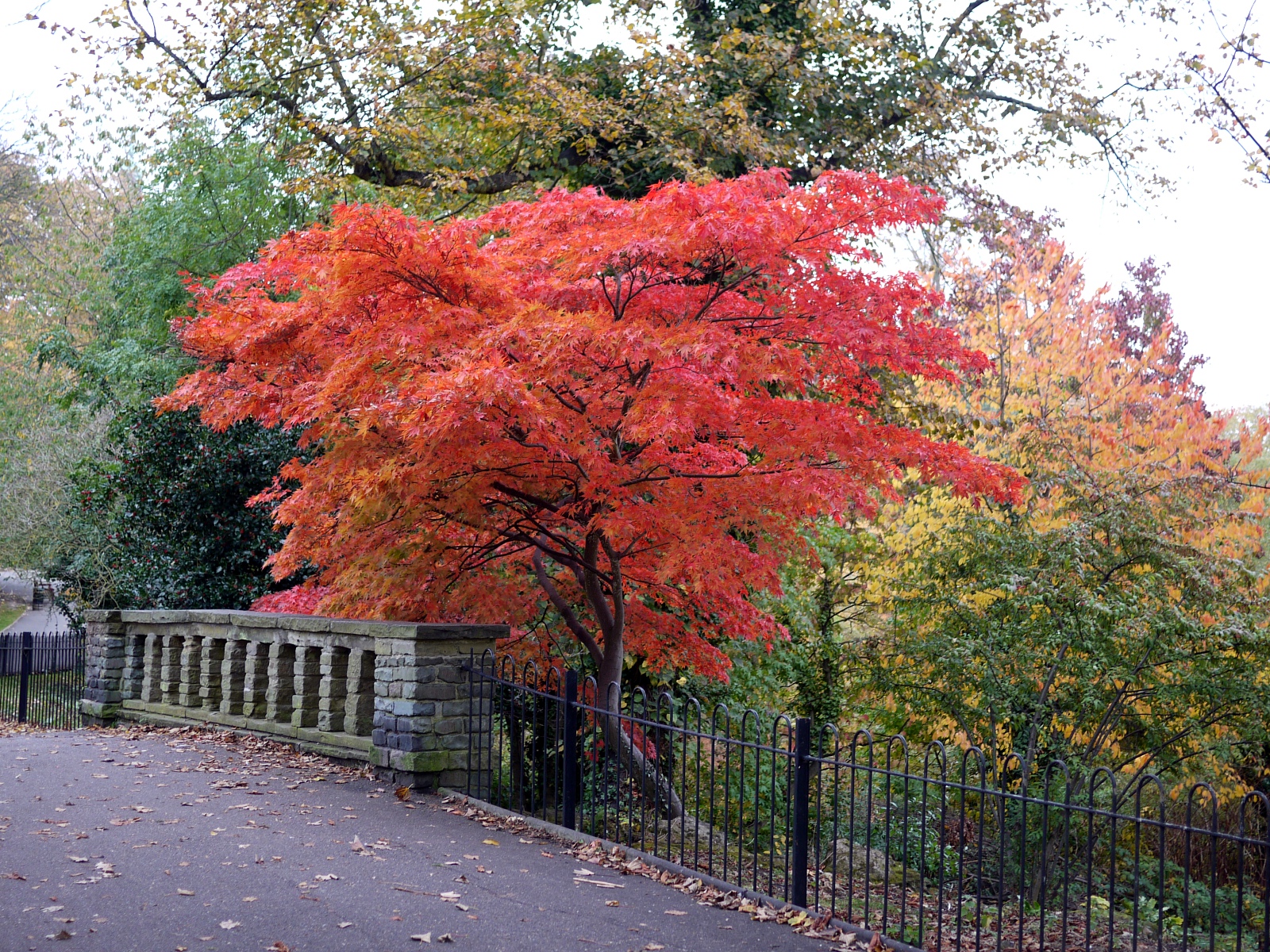 ARTE Y JARDINERÍA : COMO DISEÑAR UN JARDIN. UN LUGAR ACOGEDOR A LA SOMBRA