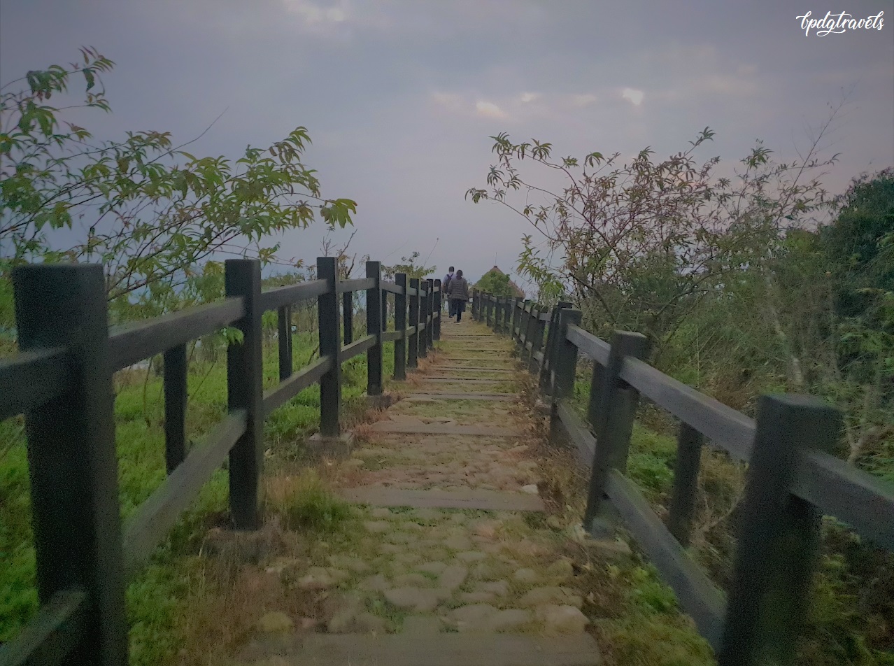 Taiwan Trip Day 5 - Alishan (阿里山) | Fenchihu 奋起湖 | Eryanping Trail ...