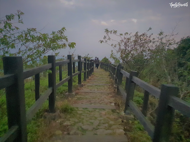 Taiwan Trip Day 5 - Alishan (阿里山) | Fenchihu 奋起湖 | Eryanping Trail ...