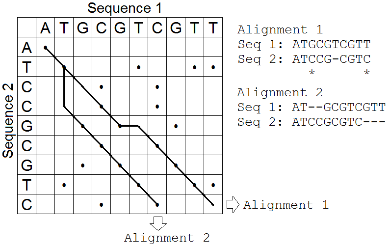 It's Everything About Biology: Sebuah Tulisan Evolusi dan Filogeni ...