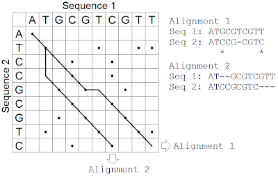 It's Everything About Biology: Sebuah Tulisan Evolusi dan Filogeni ...