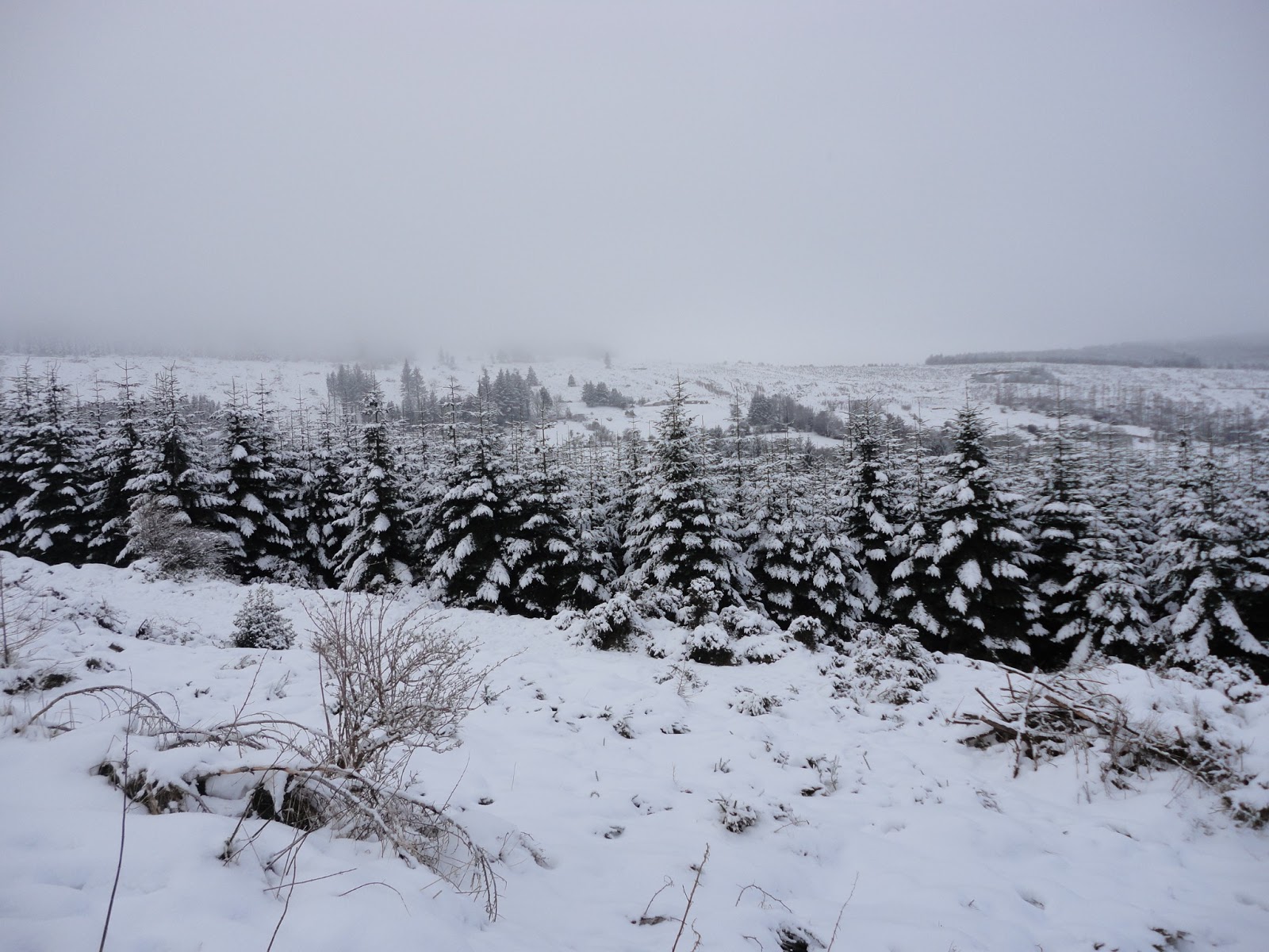 TURISTANDO POR AE !!!: IRLANDA - Muita neve em Ticknock Forest