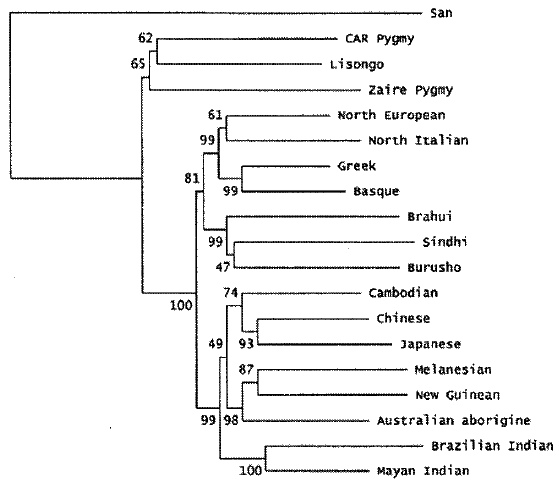 FREEHELLASLEPTOKARIA: ΜΕΓΑΛΗ ΕΡΕΥΝΑ ΣΟΚ ΣΤΟ ΕΛΛΗΝΙΚΟ DNA :Greek DNA ...