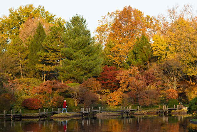 St. Louis Energized: Autumn in the Garden