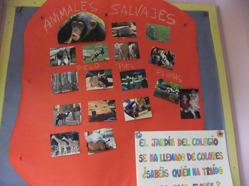 Educación Infantil Salesianos Huesca: PROYECTO ANIMALES