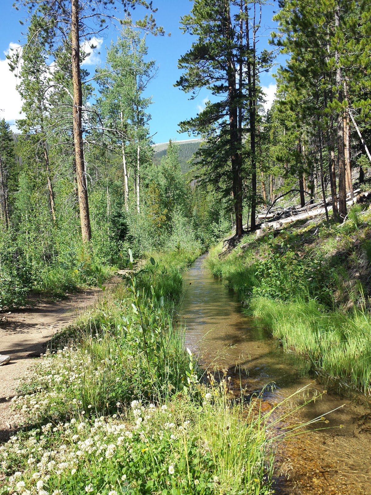 Early Morning Run: Running Colorado: Peaks Trail, Frisco to Breckenridge