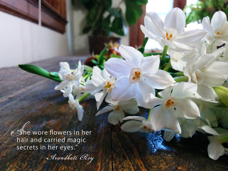 Nessy Designs: Paperwhites