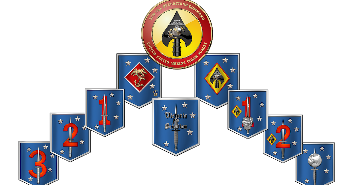 Military Insignia 3D : U.S. Marine Corps Special Operations Command ...