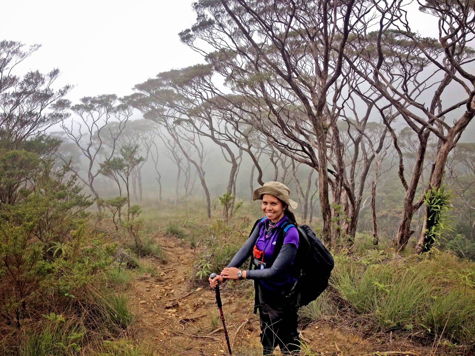 Travel Life: Mt. Halcon