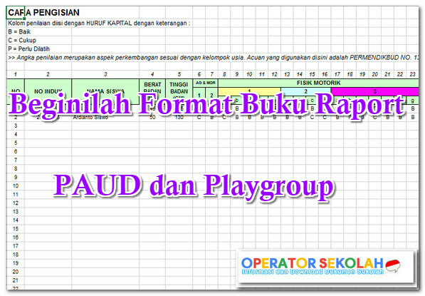 Beginilah Format Buku Raport PAUD dan Playgroup - Biologizone