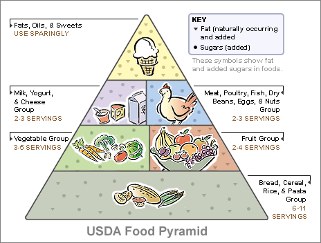 Vegan Clouds: The New healthy eating plate.