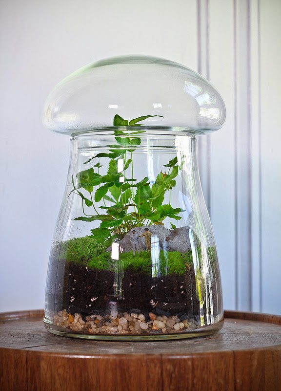 Teraryum: Teraryum-Terarium