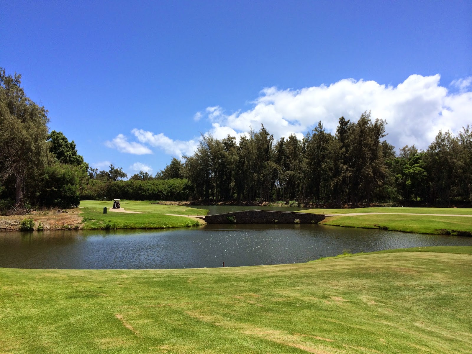 GREAT EATS HAWAII: TURTLE BAY GOLF RESORT - THE PALMER COURSE