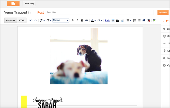 How To Manually Size Your Blog's Images Without Using a Photo Editor ...