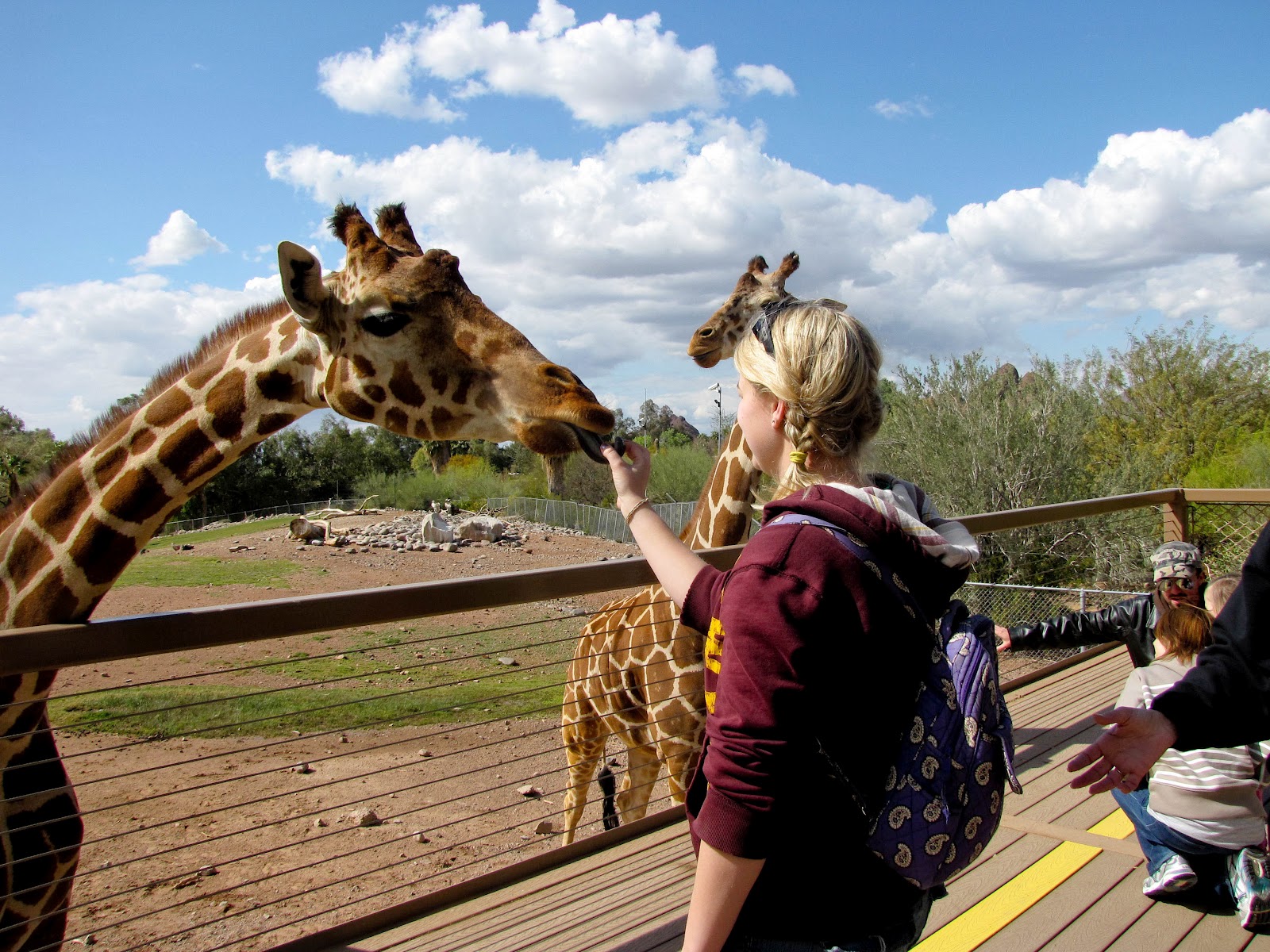 The Daily life of Lizzie: Spring Break: ANIMALS