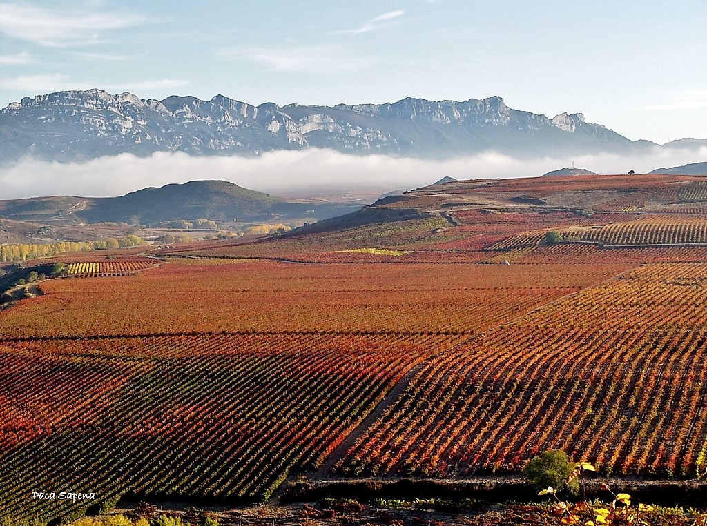 La Rioja de la A a la Z: LA RIOJA SE VISTE DE OTOÑO