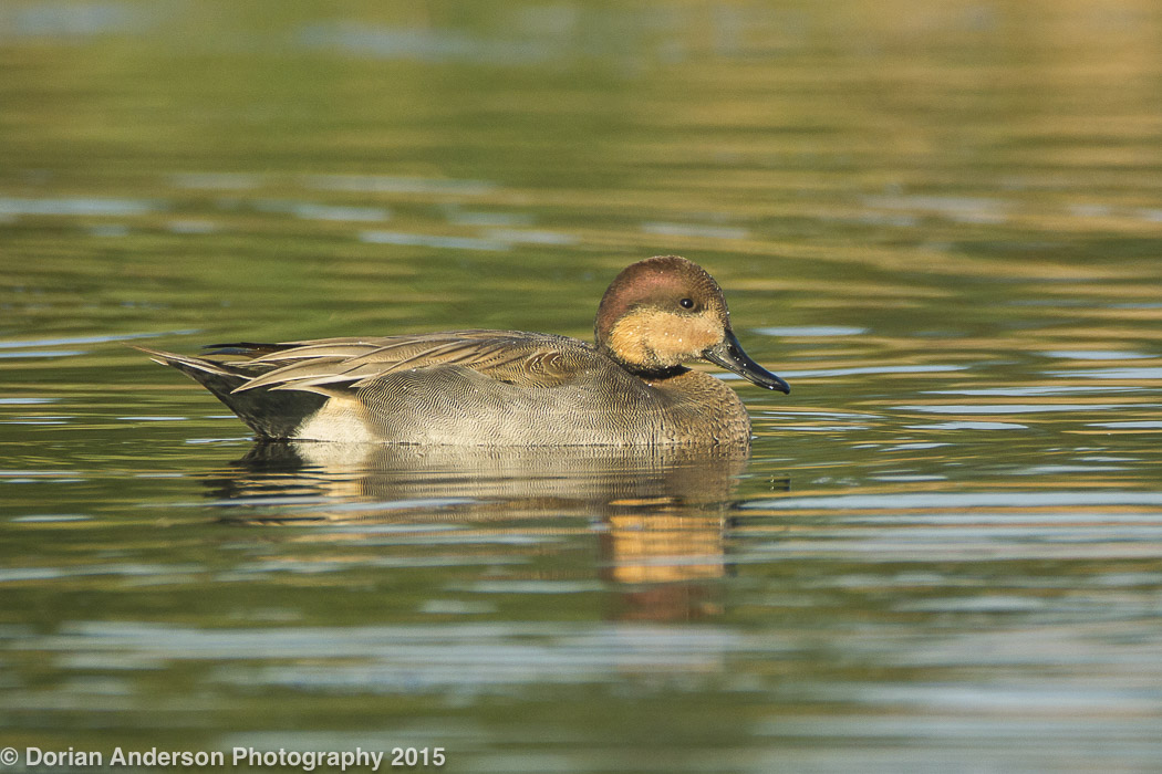 The Speckled Hatchback: Post #50 - Unscrambling scrambled eggs....