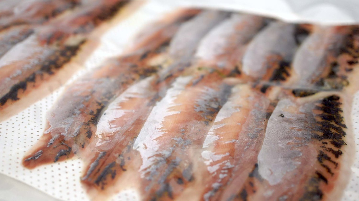 Mackerel Canned Fish, Mackerel Tomato Sauce, Mackerel Tin Fish, Price ...