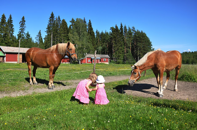Memories Of Summer- 50 Images From Finland - Blue Abaya