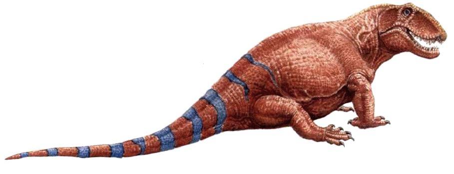 Blog de la Vida Prehistórica: Sphenacodon