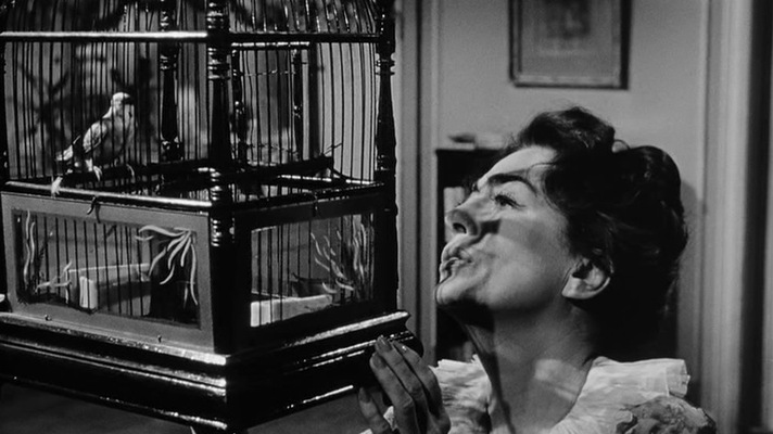 cinematic corner.: What Ever Happened to Baby Jane?