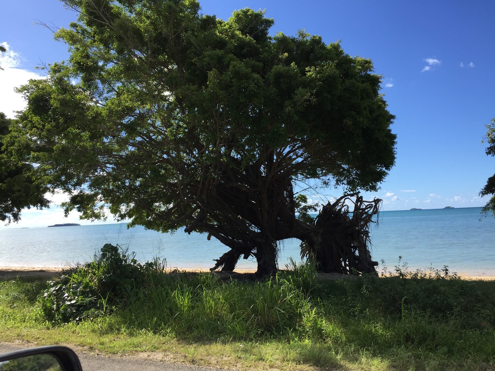 Kenny & Becky Kapp: Rockin' the Tupenu