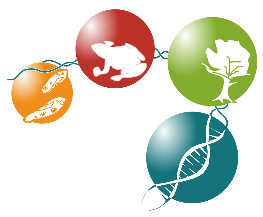 La genética: Relación de la Genética con la Biología