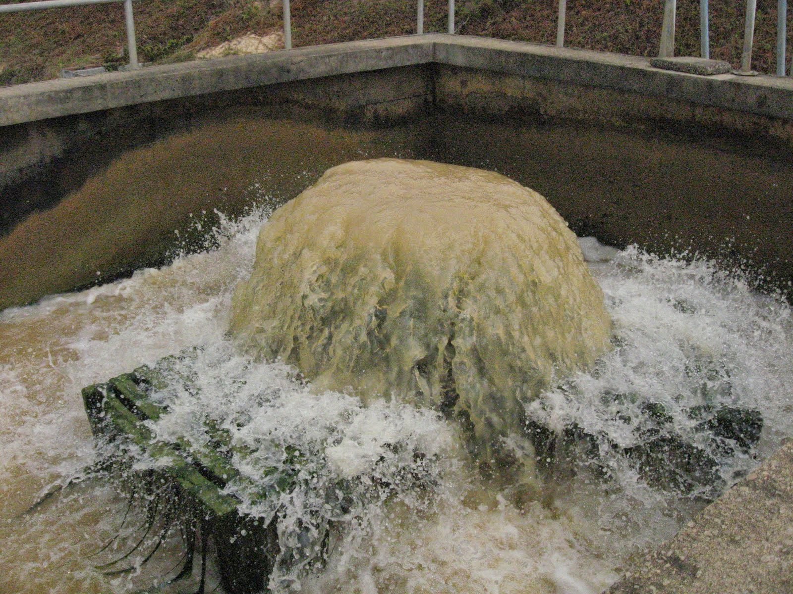 PROSES RAWATAN AIR: RAWATAN AIR BERSIH