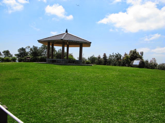 Plant World: Axonopus compressus