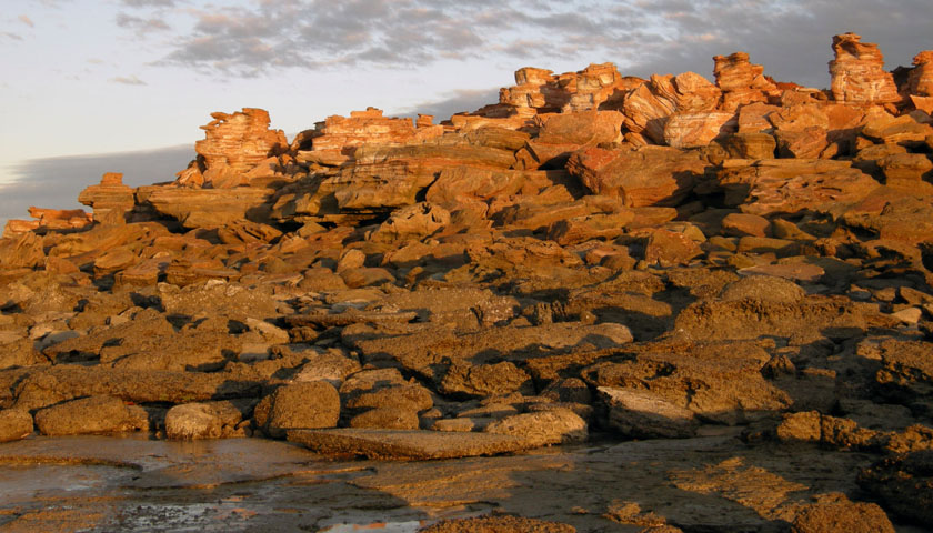 The Great Cretaceous Walk: The Dinosaur Tracks of Western Australia May ...