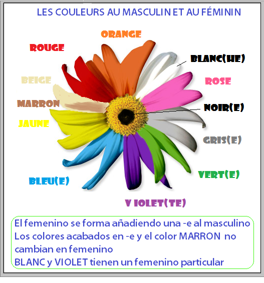 Français au MC: Los colores - Les couleurs