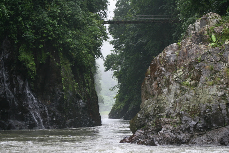 Roxy's Adventure: White Water Rafting the Pacuare River