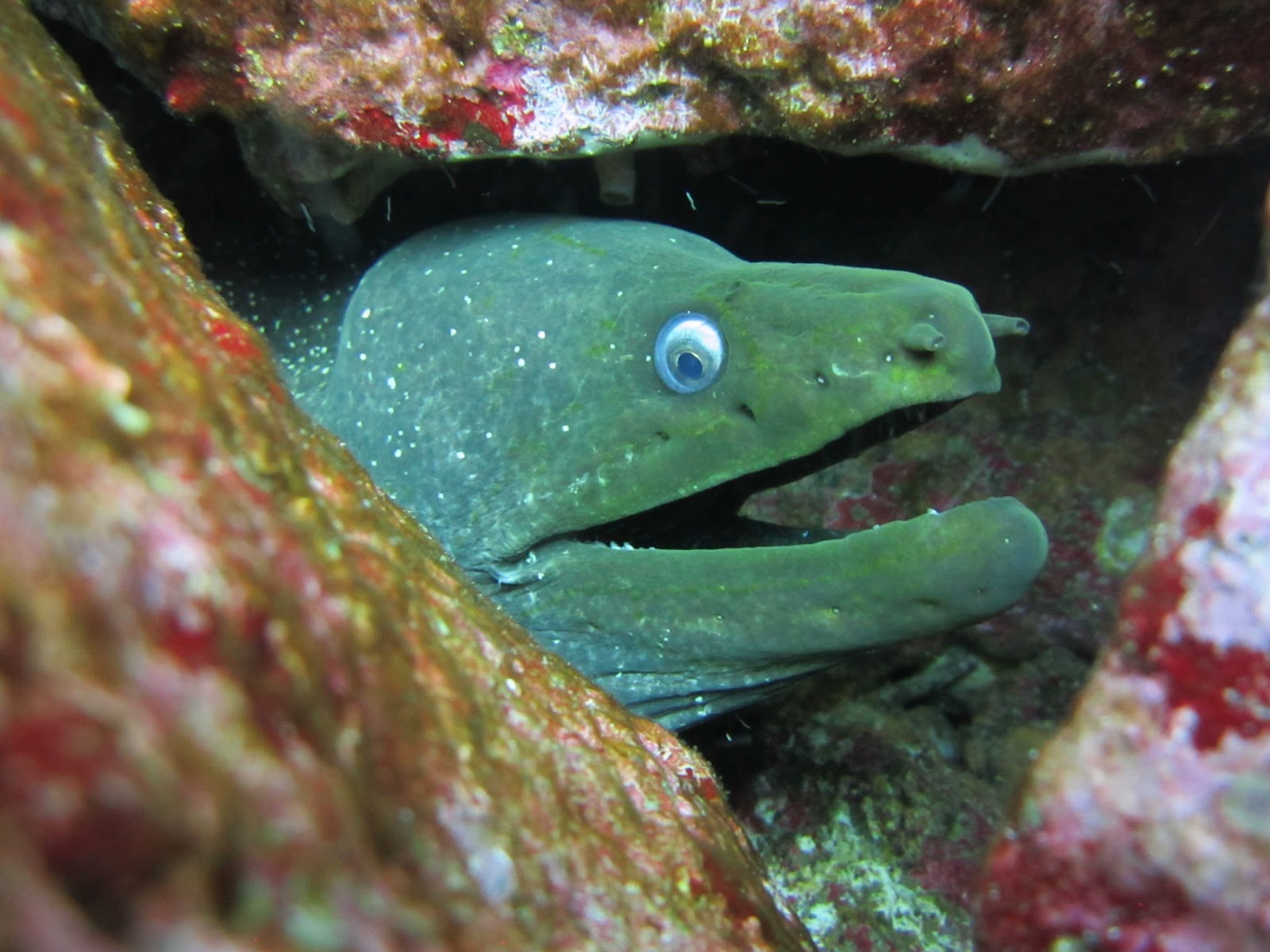 Alaska Adventures by Trond