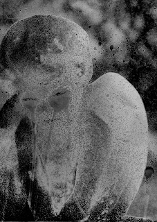 Kennedy High School Photography: Selective Development II