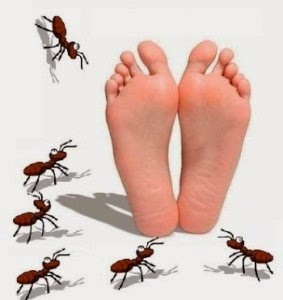 Kesemutan Dan 10 Cara Mengatasinya | gaptekna