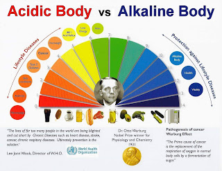Acidic Body vs Alkaline Body
